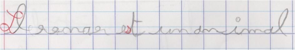 QUEL LIGNAGE, QUEL CAHIER CHOISIR ? - Ecriture Mode d'emploi
